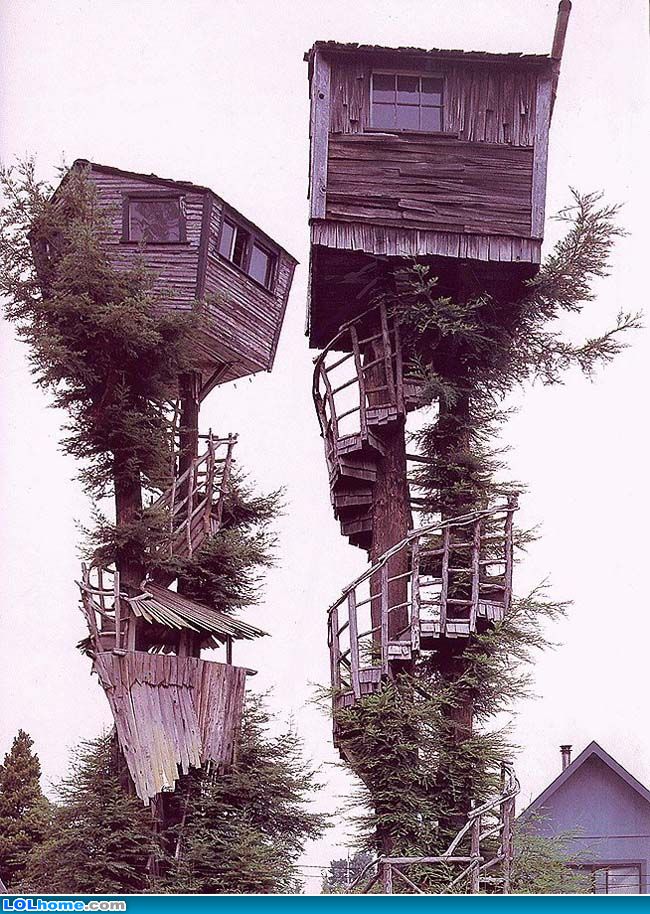 funny car: Where in the world are these funny houses..