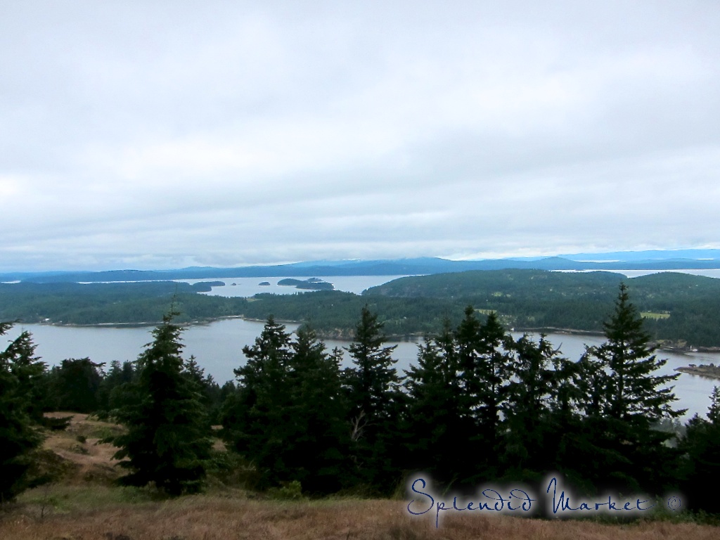 Turtleback Mountain, Orcas Island