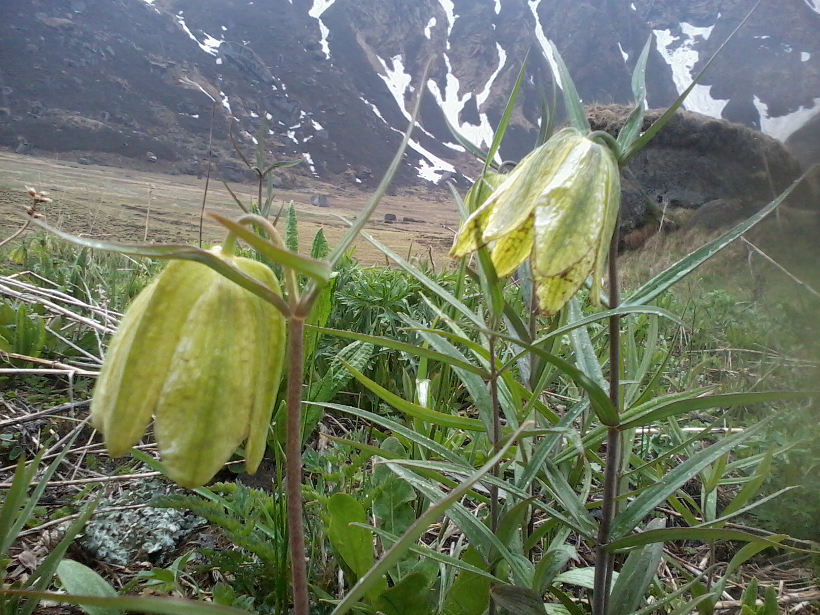 another attraction of tourism