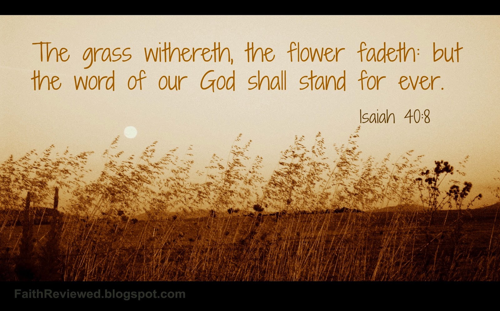 Faith Reviewed: The Eternal Word