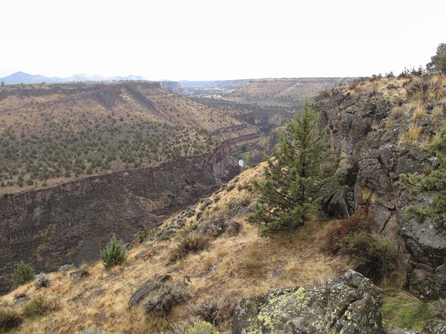 Norsk Needlework: at Home: Weaving Lessons at Crooked River Ranch, Oregon