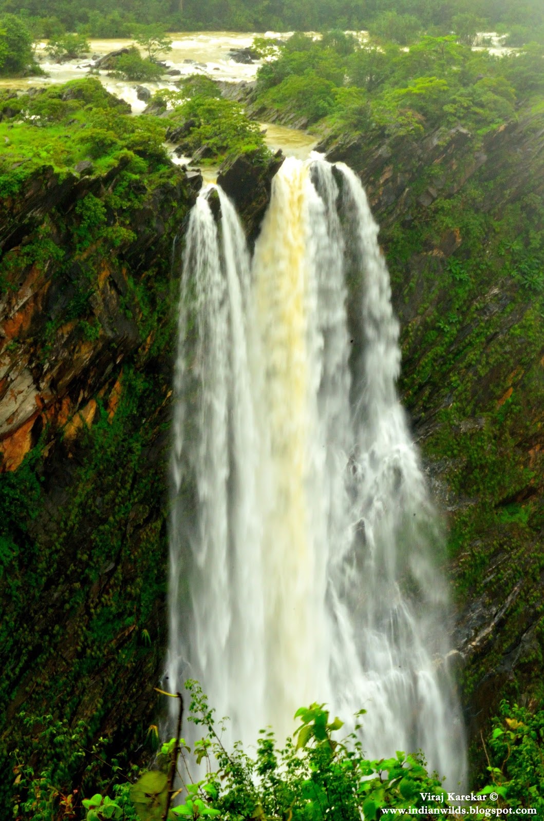 Viraj Karekar's Nature and Wildlife Photography: A view at Honnavar ...