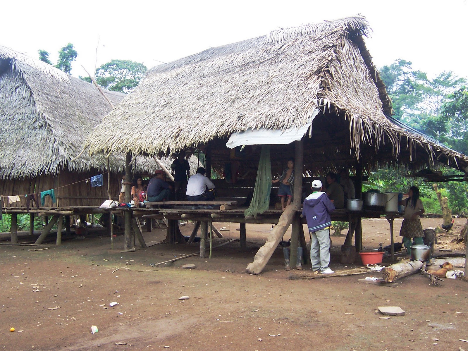 APUNTES - REVISTA DIGITAL DE ARQUITECTURA: Vivienda en la Amazonía ...