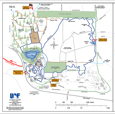 Imajin8: Skiing at UAF