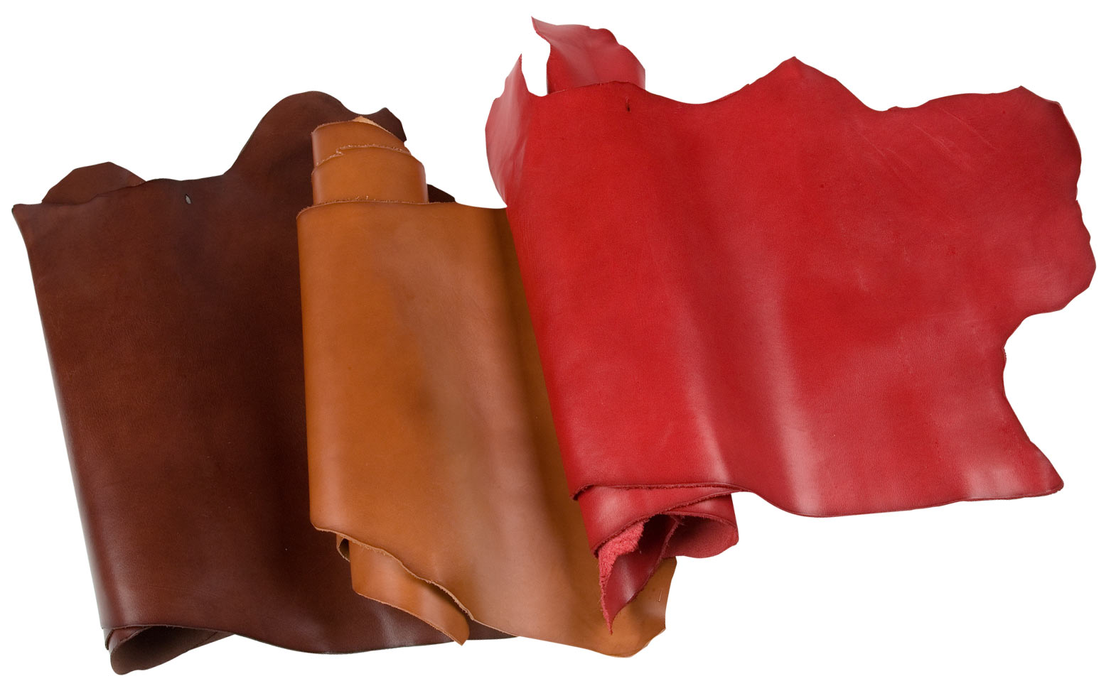 Guarnicioneria, Pieles y Accesorios para el caballo.