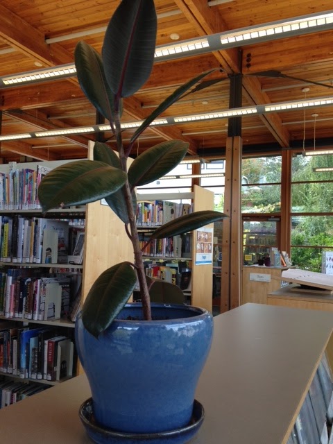 Where to Read in the Rain