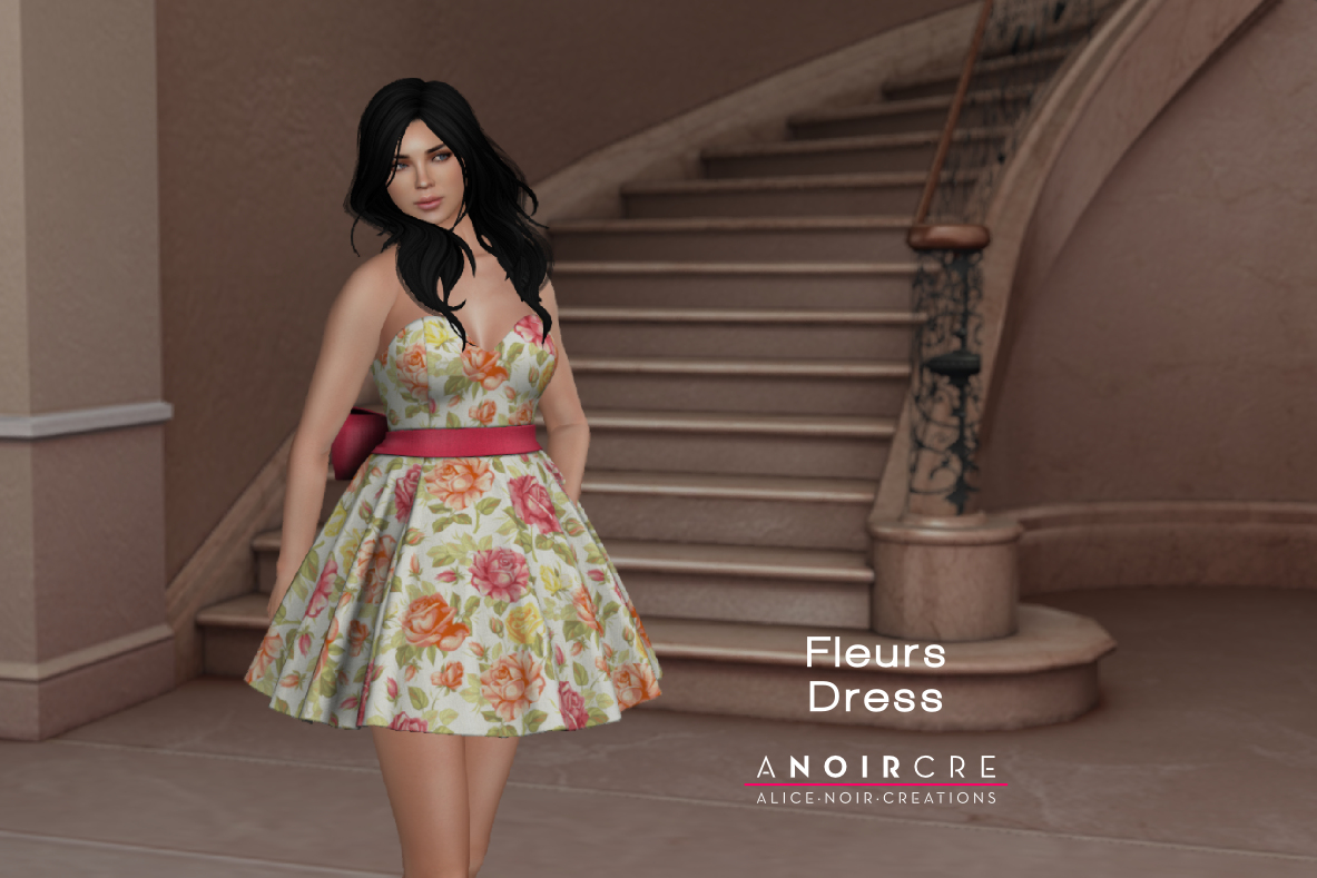 ANOIRCRE by Alice Noir: Fleurs Dress