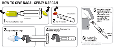 EMS SOLUTIONS INTERNATIONAL: Intranasal Drug Administration EMSWORLD