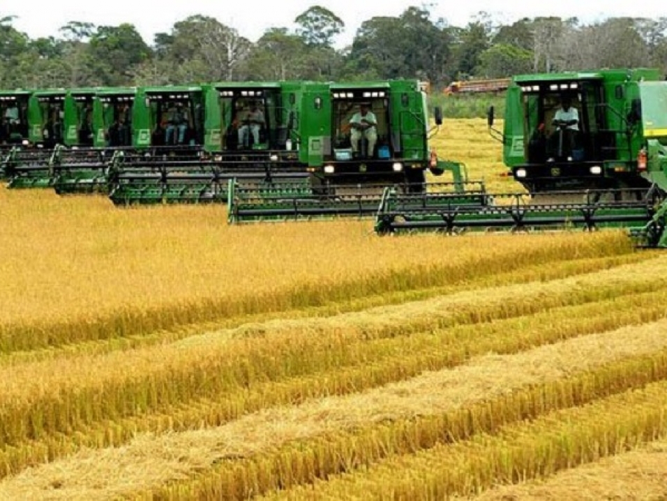 GEOGRAFÍA PARA TODOS: INDUSTRIA ARROCERA EN EL URUGUAY