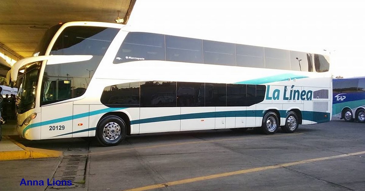 Conociendo los nuevos autobuses de La Línea