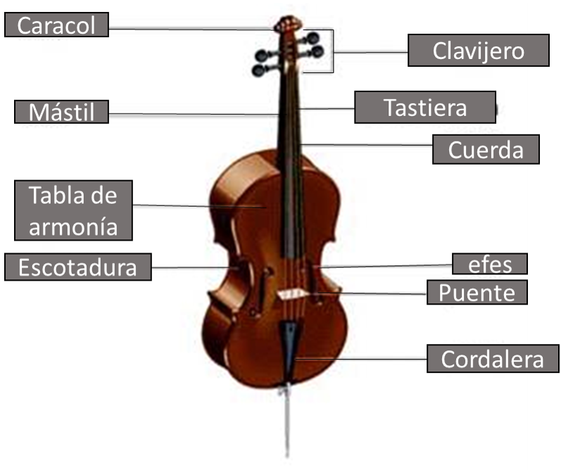 Venezuela Cello