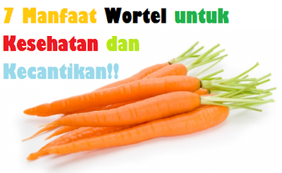 7 Manfaat Wortel untuk Kesehatan dan Kecantikan | Asuransi Kita Bersama