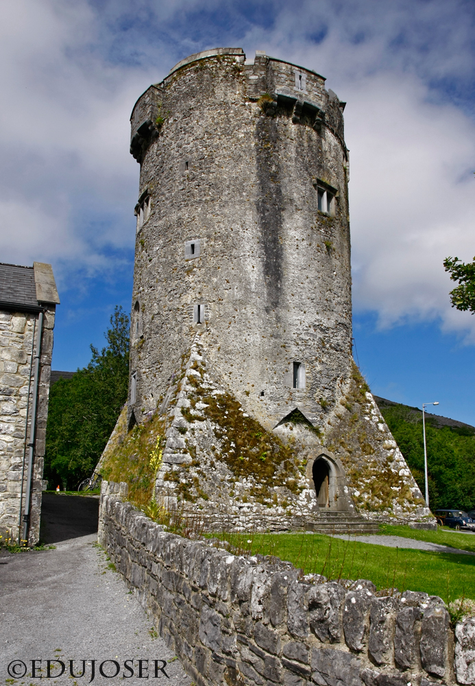 EDUJOSER: CASTILLO DE NEWTOWN (Irlanda)