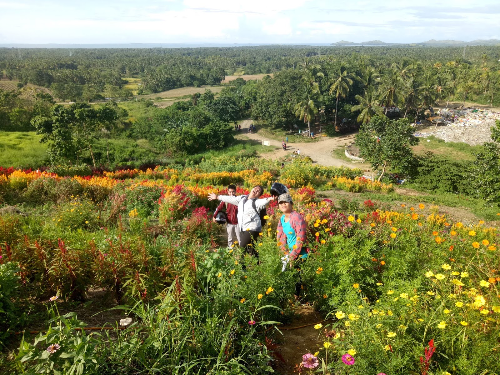 BOHOL | A BEAUTIFUL PLACE TO STAY (Here are some awesome places I've ...