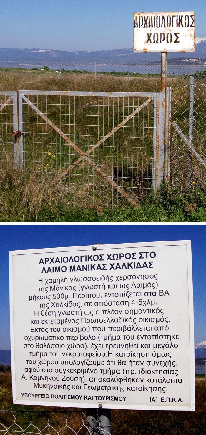 ΜΑΘΗΤΙΚΗ ΠΑΡΡΗΣΙΑ: ΜΑΝΙΚΑ ΧΑΛΚΙΔΑΣ