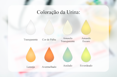 DALVA DAY: * 2016 - A cor da urina e os segredos da saúde