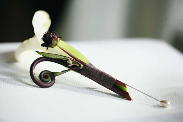 Elizabeth and Christopher's Blog: botanical brouhaha ;)