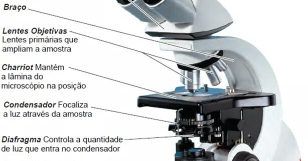 Biomedicina - Atualidades: MICROSCÓPIO - PARTES E FUNÇÕES
