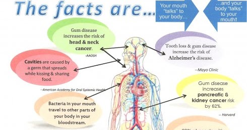 Things You Need To Know About The Mouth-Body Connection