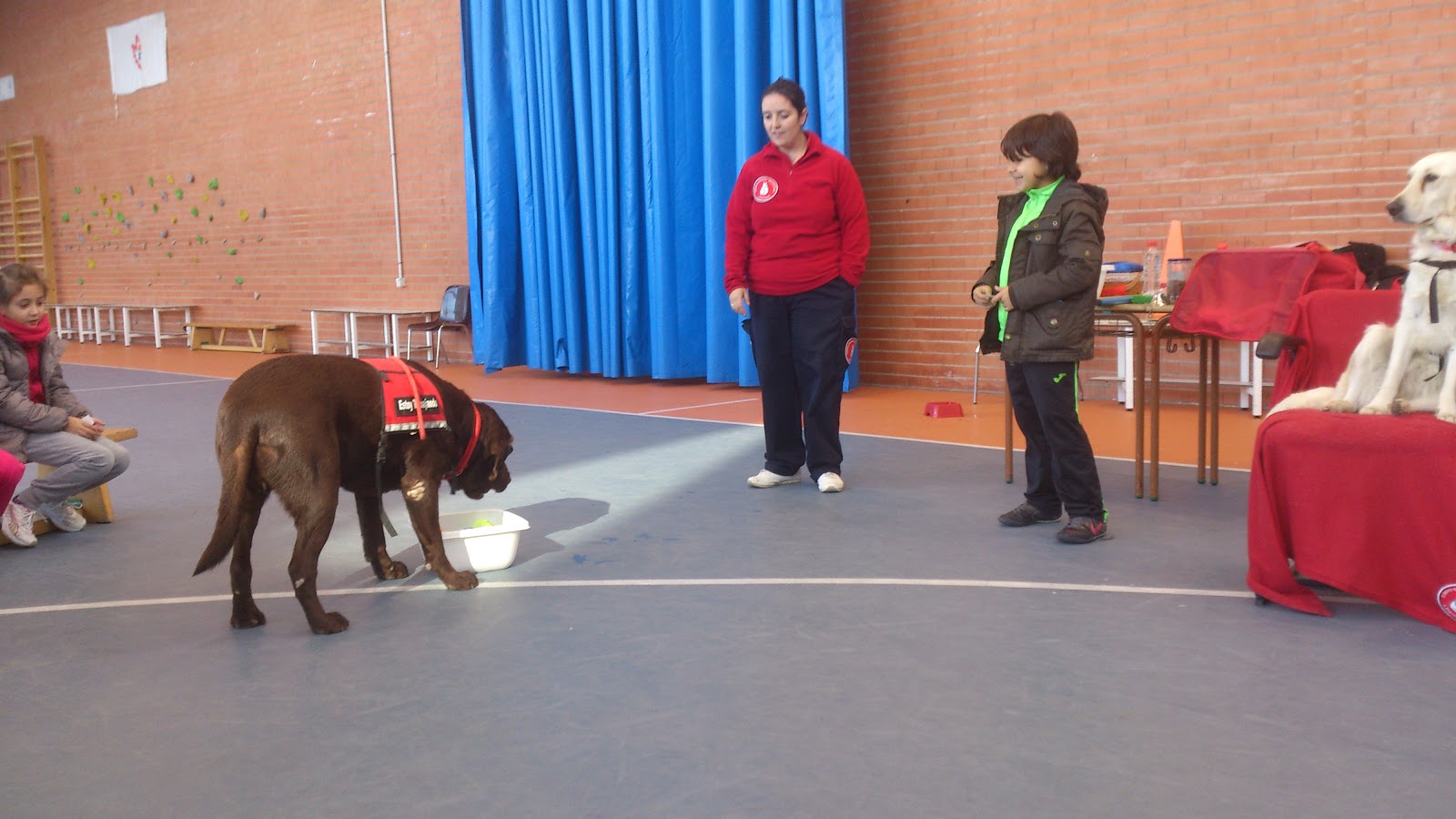 Mil recursos: TERAPIA CON PERROS