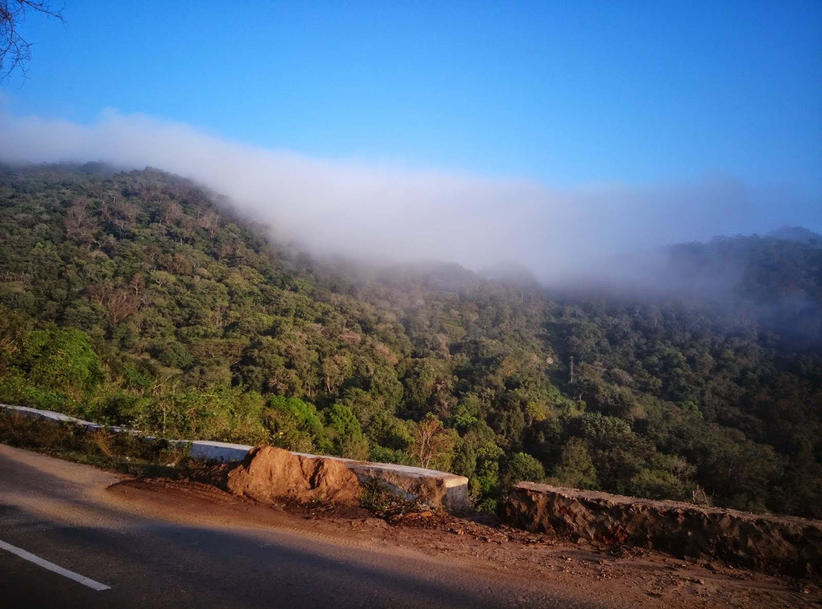 roadcrow: Lambasingi - The Andhra Kashmir