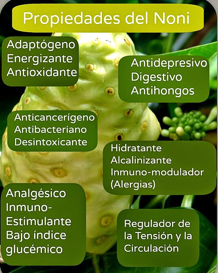 Ibérica DXN: ¿Cómo funciona el Noni?