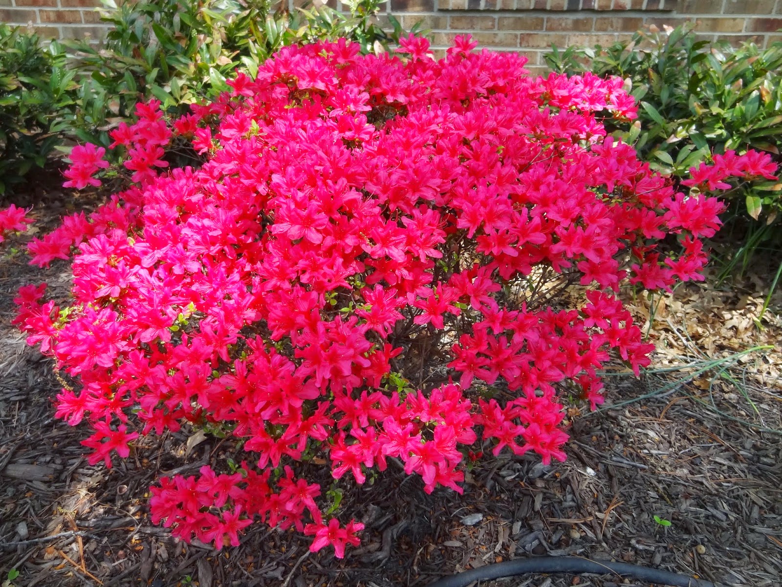 Live and Learn-Toss and Turn: 05/01/2015 - 06/01/2015