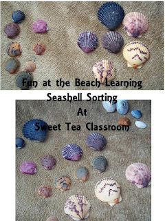 Sweet Tea Classroom: Fun at the Beach: Summer Sorting with Shells