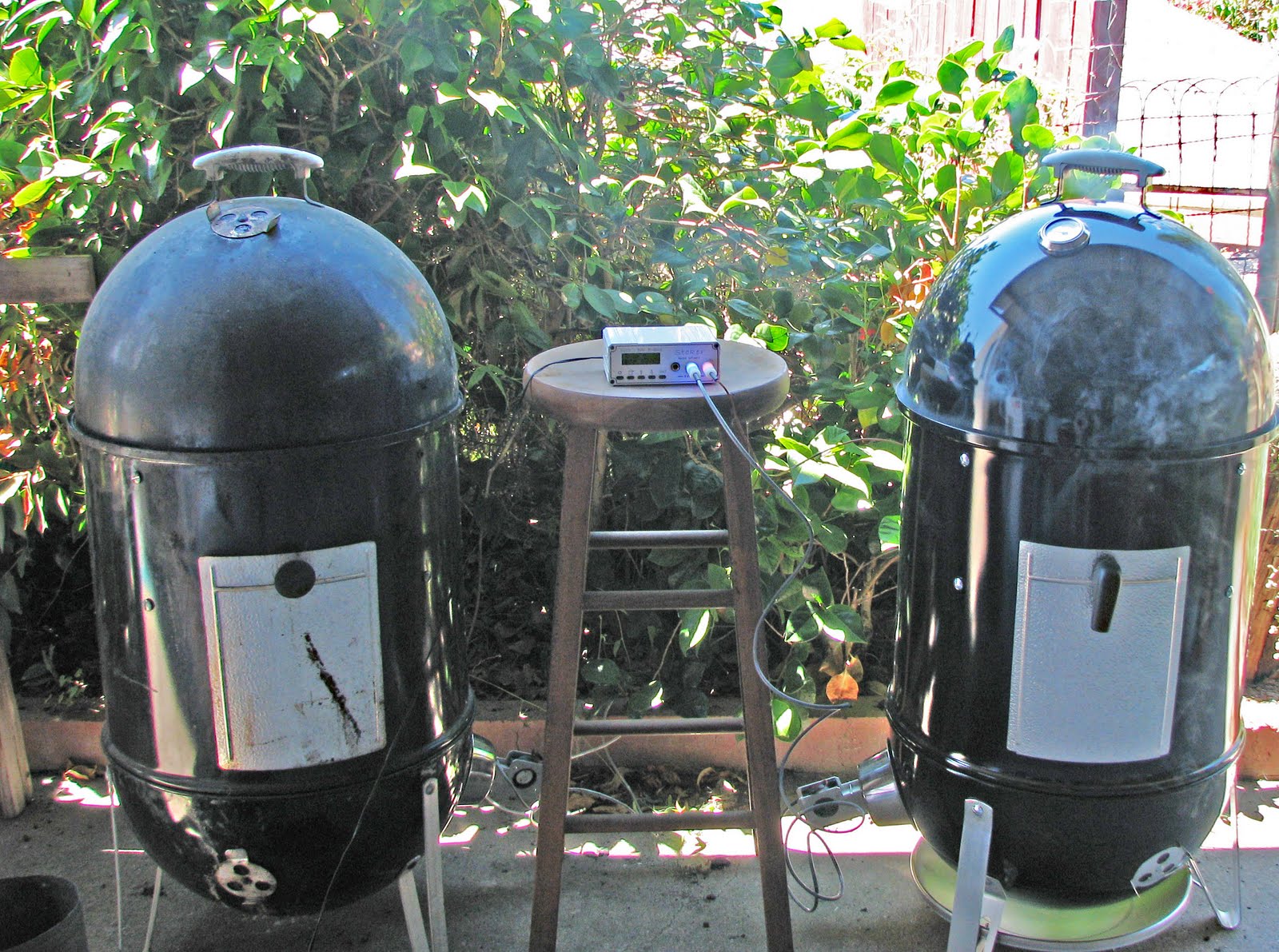 MAD MEAT GENIUS: BACKYARD COMPETITION