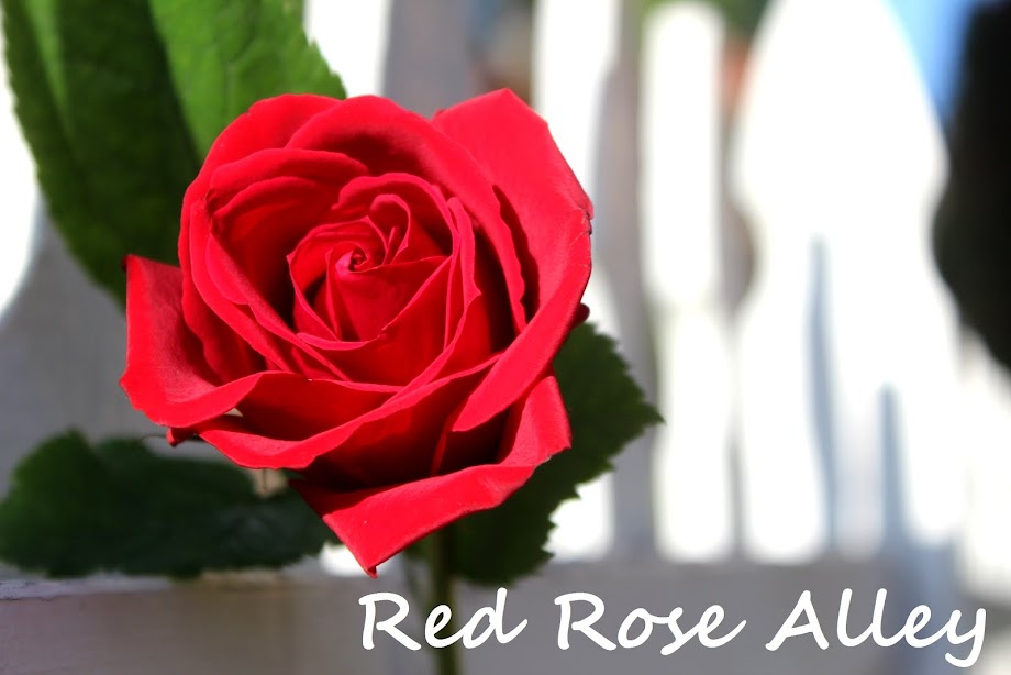 Red Rose Alley: Sweet Weekday Morning