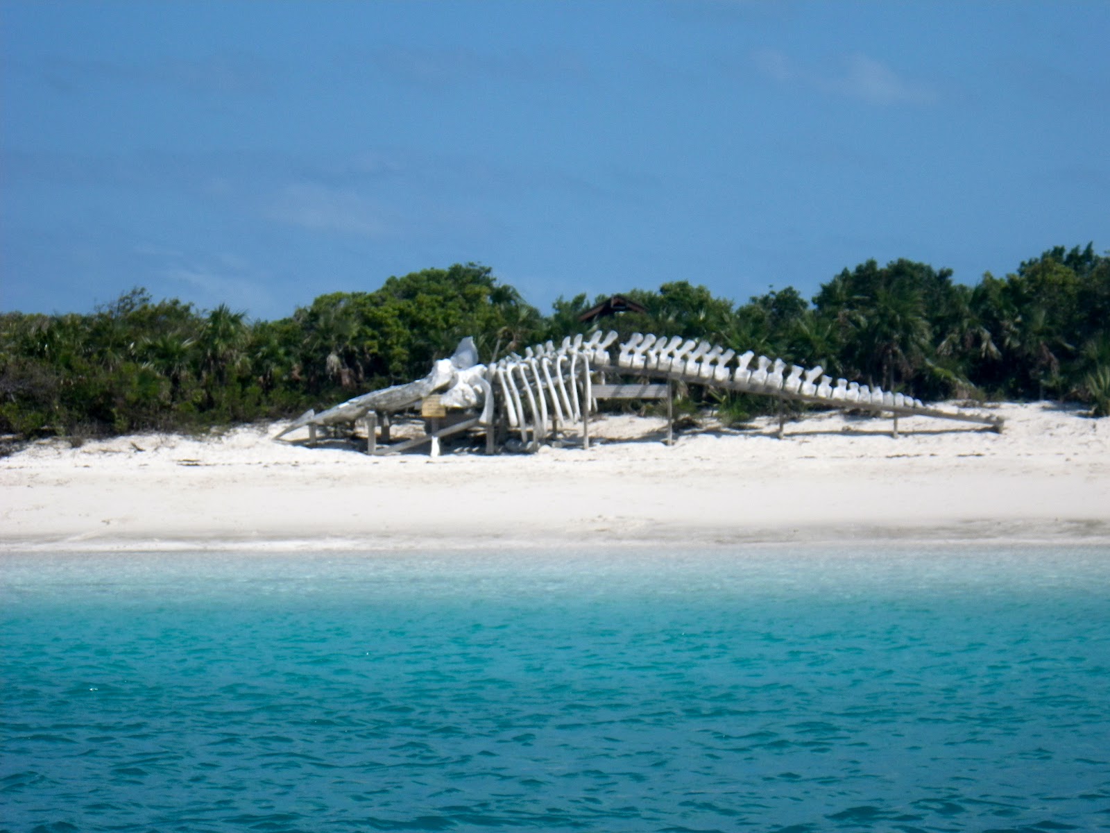 Finally Fun!: Warderick Wells Exuma Cays Land and Sea Park