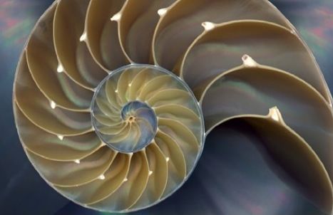 A Geometria e Seus Desafios: Os Fractais.