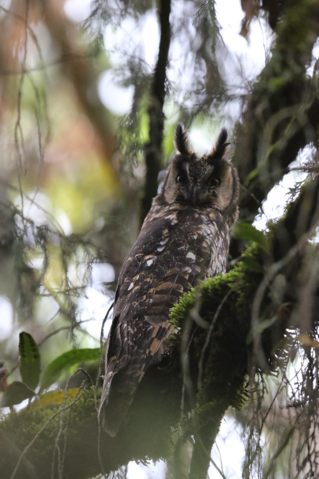 Simon Boyes: November 2013