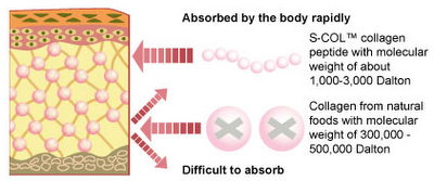 Secret Of Beauty-Give Yourself a Beauty,Charming Lifestyle: S-Col Collagen