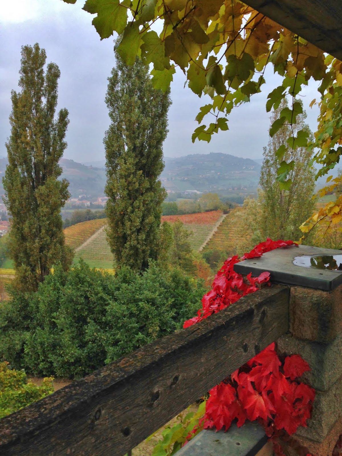 Italy to Los Angeles and Back: Twenty reasons why you'll want to visit ...