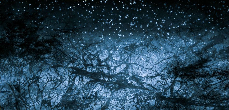 " Dark Fluid " - A Unifying Theory for Dark Matter and Dark Energy by ...