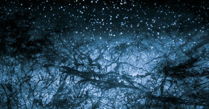 " Dark Fluid " - A Unifying Theory for Dark Matter and Dark Energy by ...