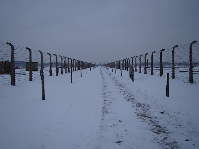 Auschwitz 2012: Auschwitz 2: Selection Ramp