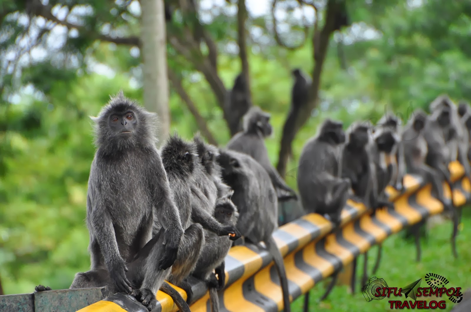 Blog Jalan-Jalan... By Malaysian for the WORLD!: Kuala Selangor Day ...