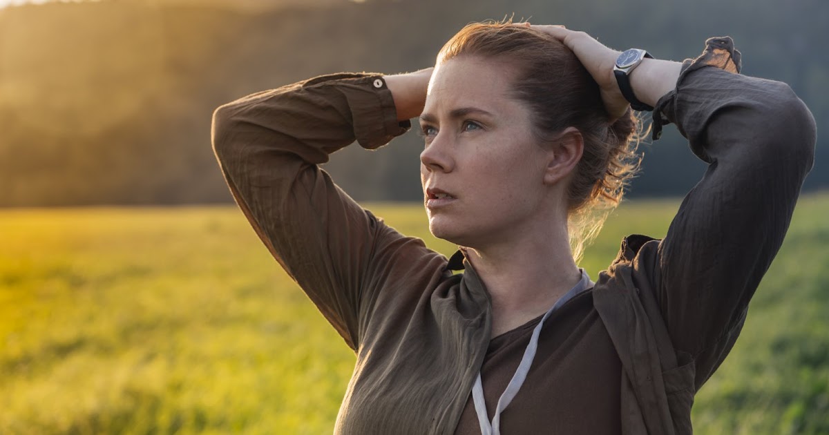 Crítica do filme: 'A Chegada' ~ Guia do Cinéfilo