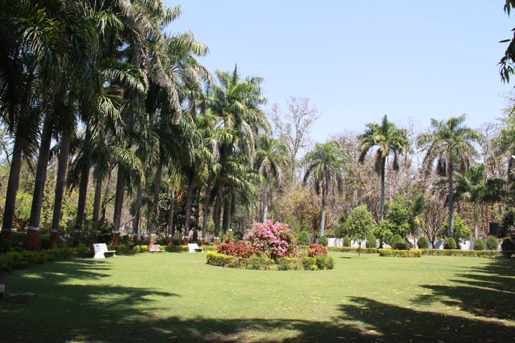 Waghai Botanical Garden-Dakshin Gujarat - Dakshin Gujarat Tourism