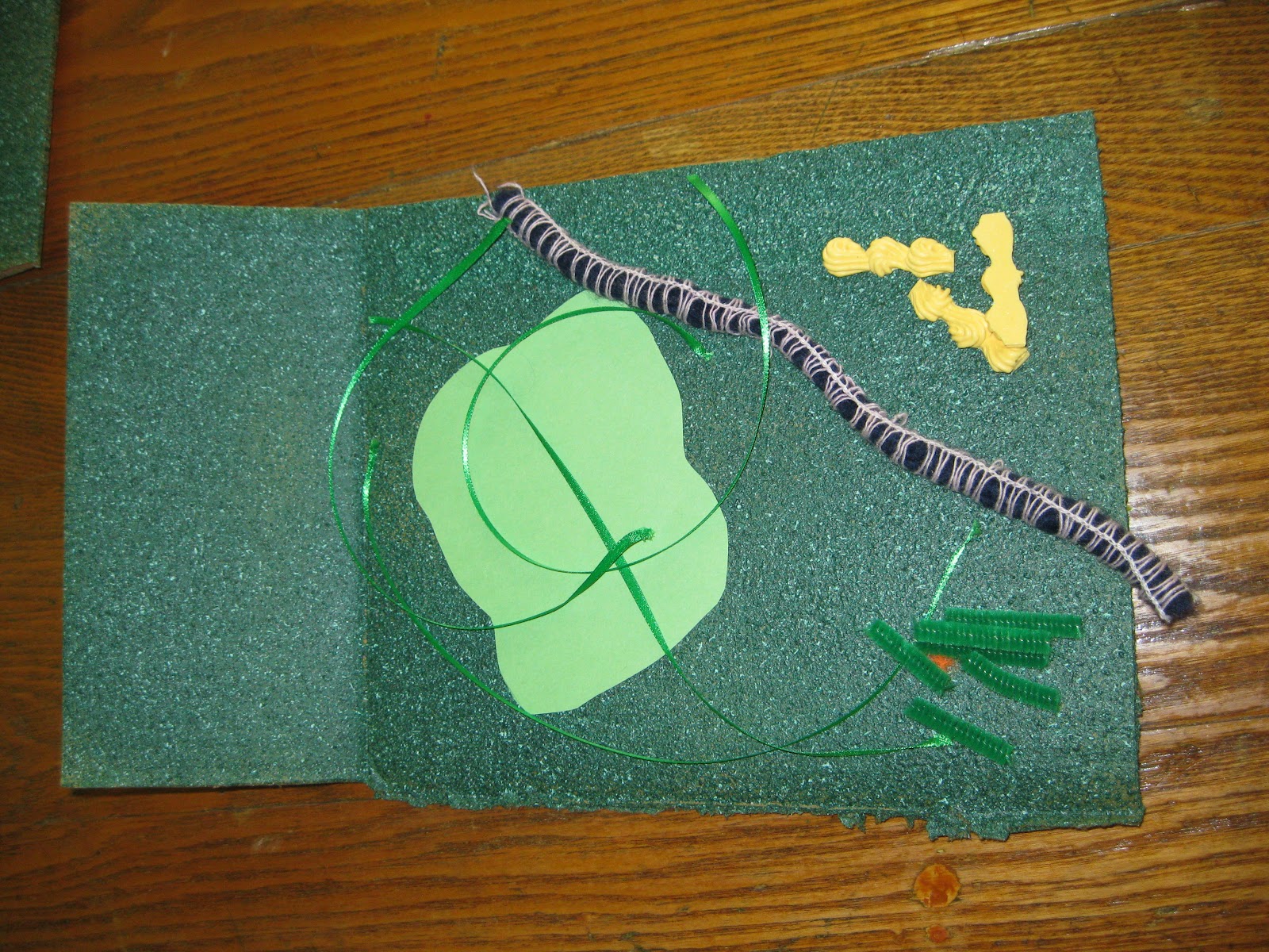 Solagratiamom: Plant Cell Model