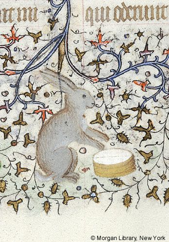 Under the Gables: Musicians of Medieval Marginalia