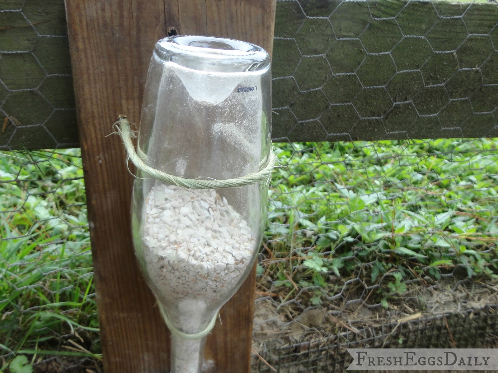 DIY Wine Bottle Chicken Grit + Calcium Dispenser - Fresh Eggs Daily ...