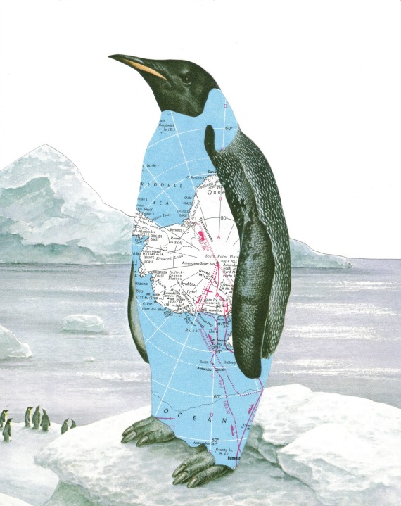Penguin Collage Map | Paper collage art, Map collage, Collage art