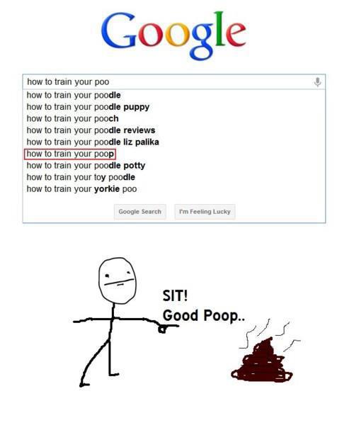 The MEME House: How to train your PooP