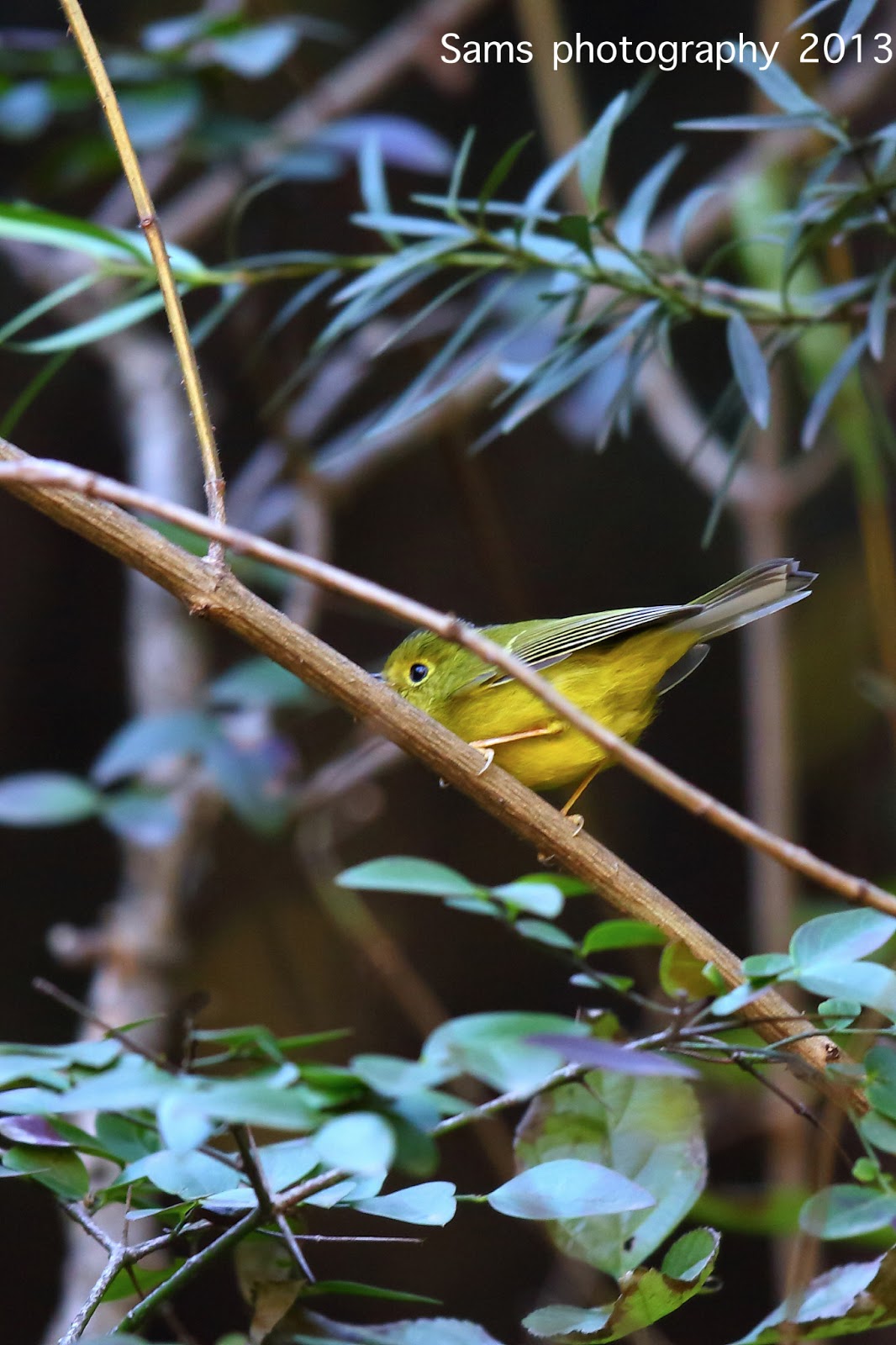 A Quick Trip Along Trail 5