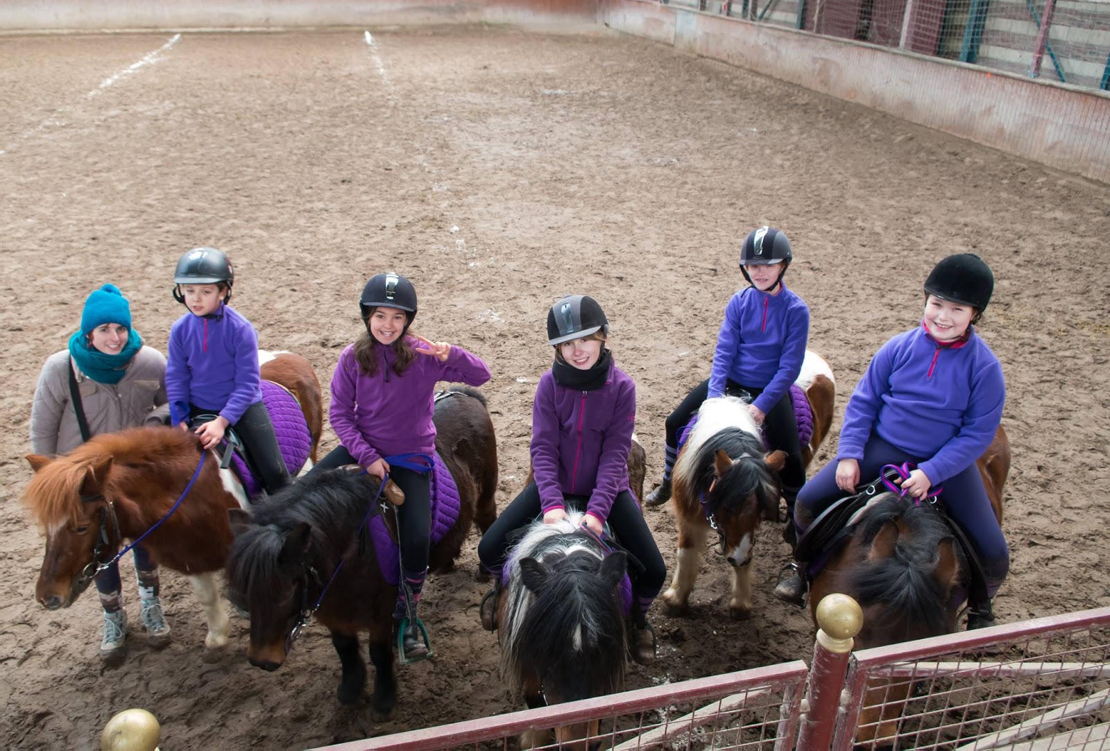 Poney Club "le pré vert" Mastaing: janvier 2016