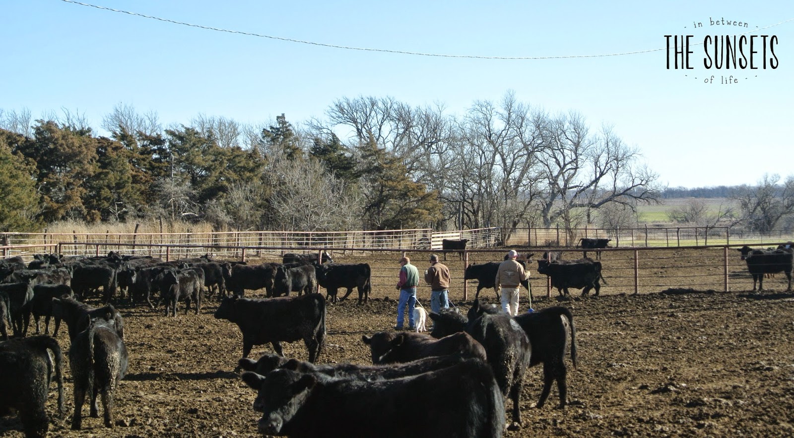 In Between the Sunsets of Life: Cycles of Farming & Seasons of Change