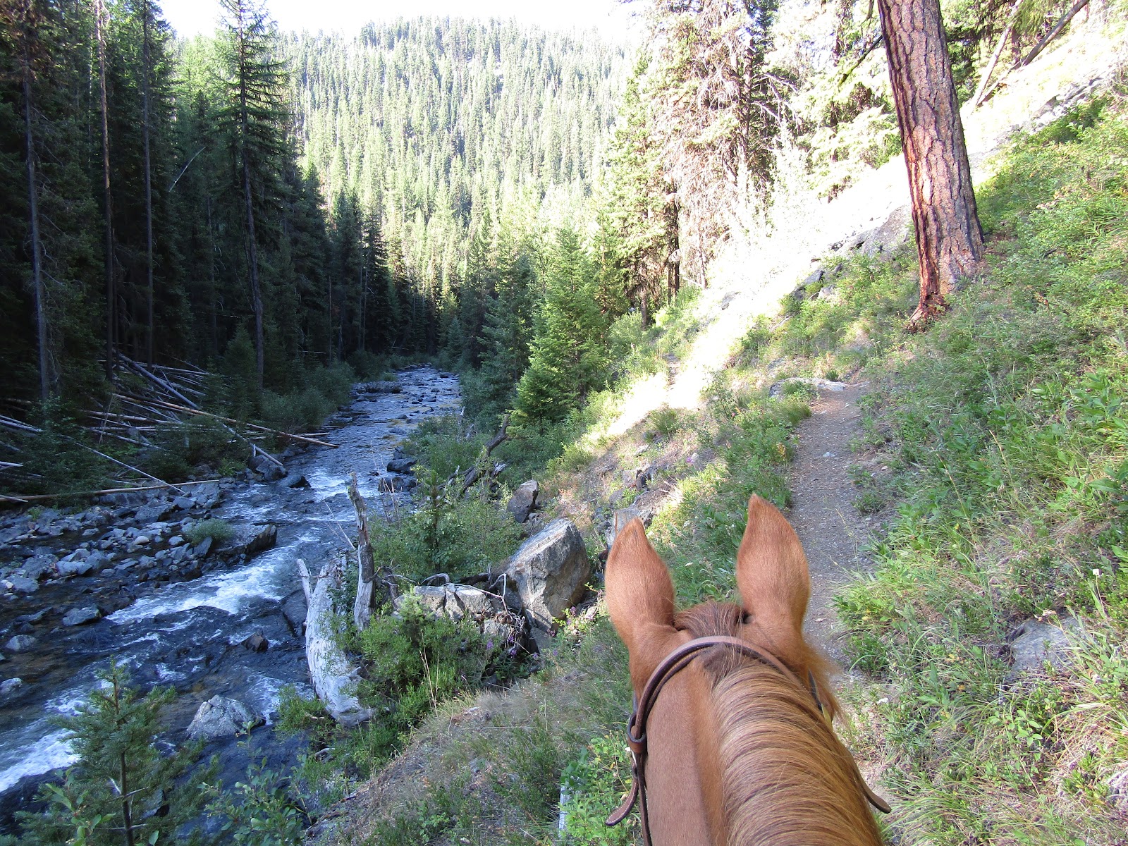 Holly's Horse Tales and Trails: Moss Springs and North Fork John Day ...